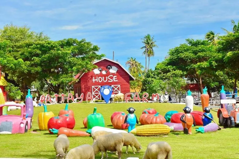 PATTAYA SHEEP FARM อาณาจักรของแกะ ที่อยากให้คุณแวะเข้าไปสัมผัส